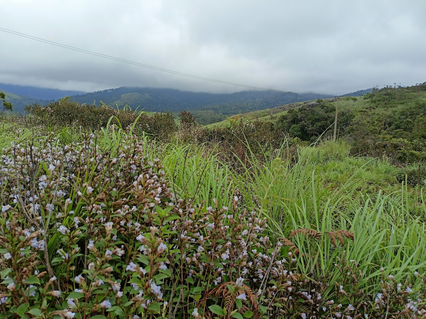 Top Places to Visit Near Pooppara, Munnar – Hopnest
